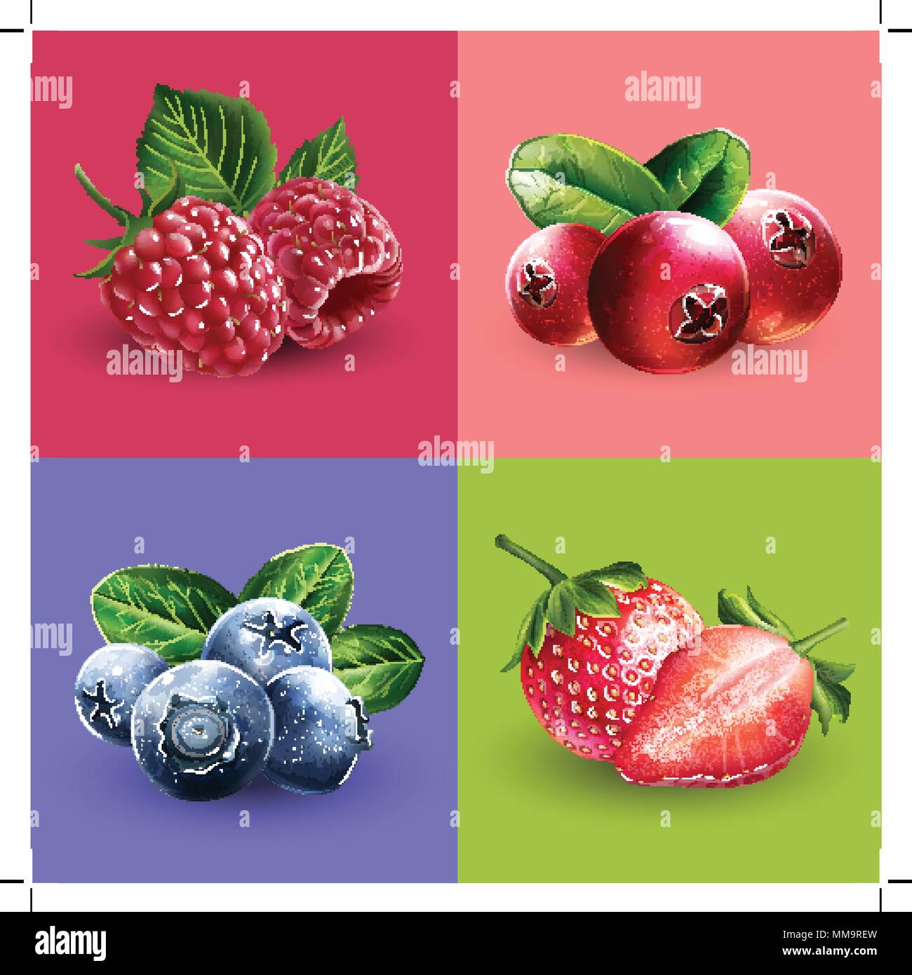 Harvest of cranberries Stock Vector Images - Alamy