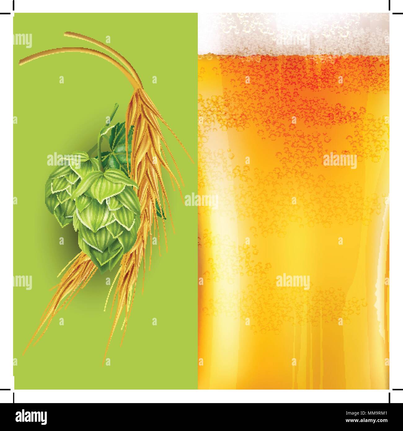 Malt beer hi-res stock photography and images - Alamy