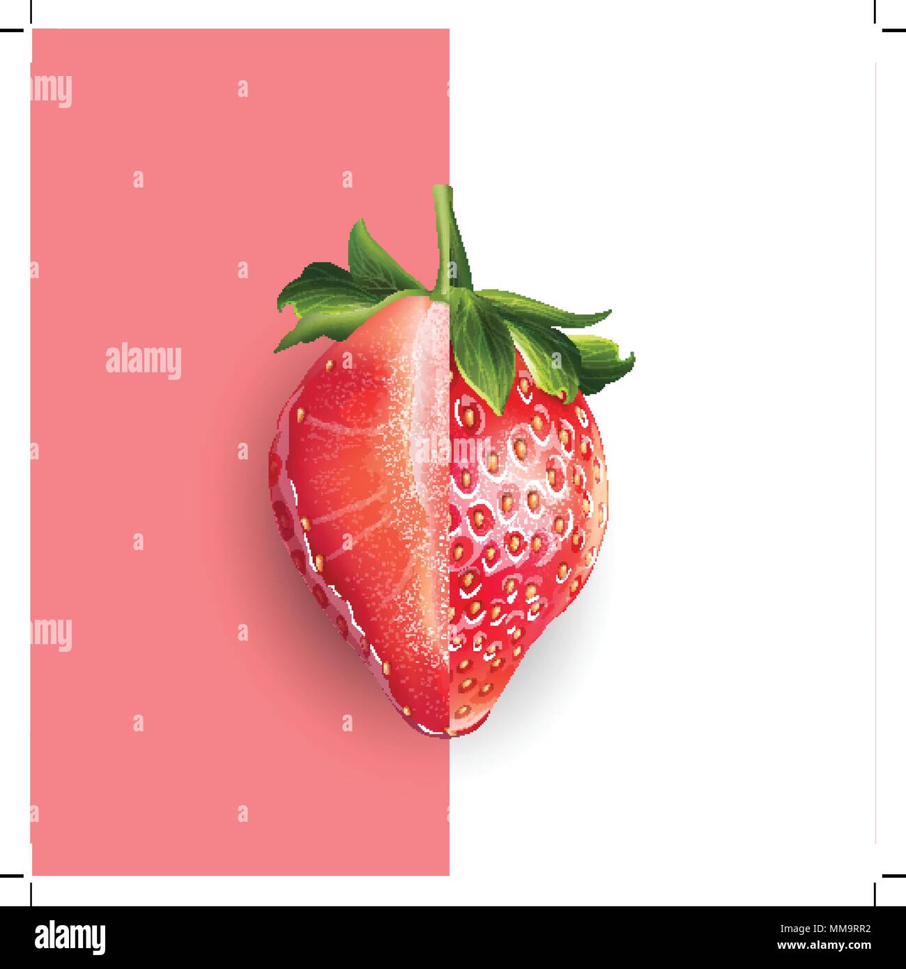 Strawberry. Vector illustration Stock Vector Image & Art - Alamy