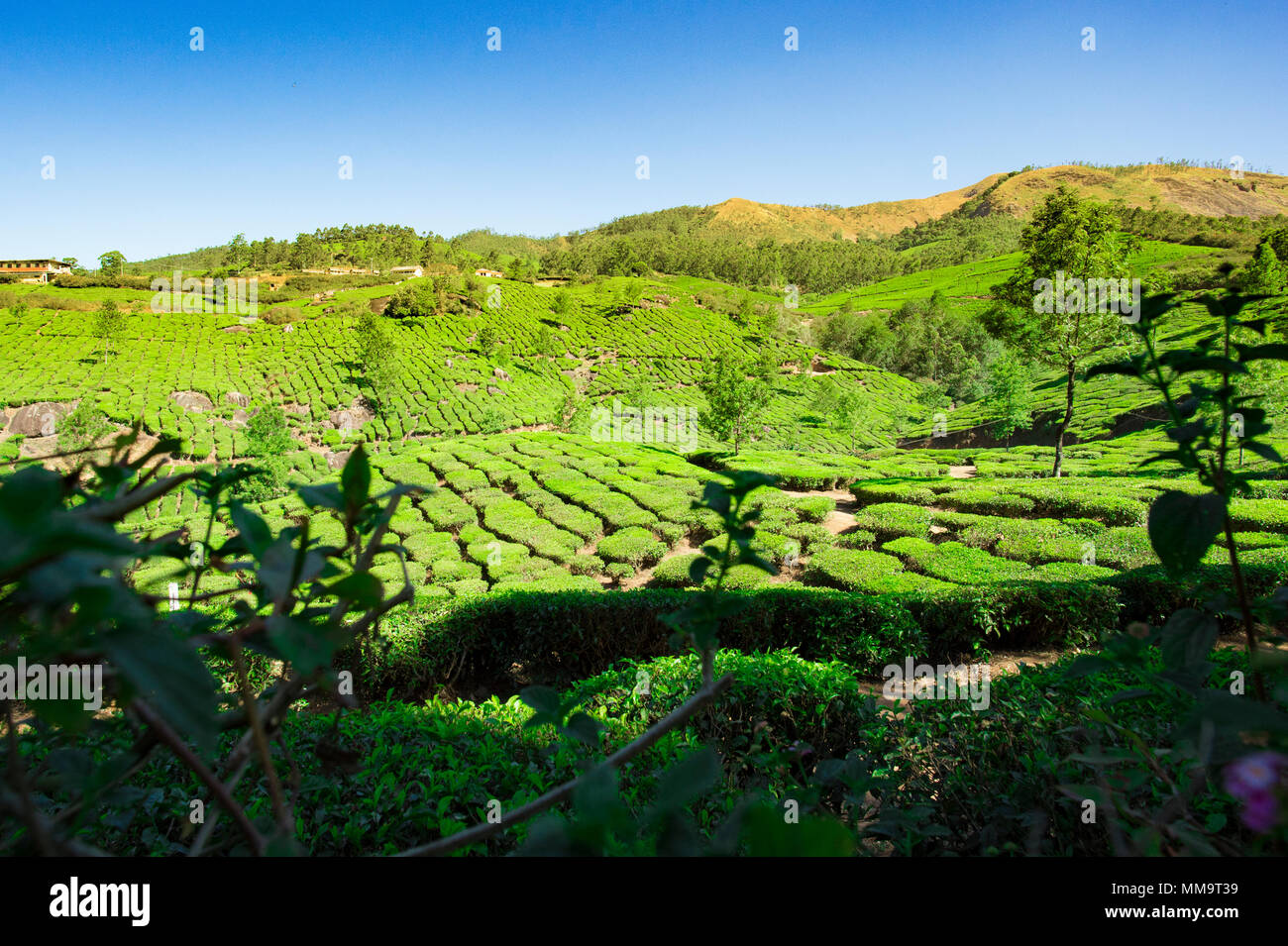 Garden terraces on hills hi-res stock photography and images - Alamy