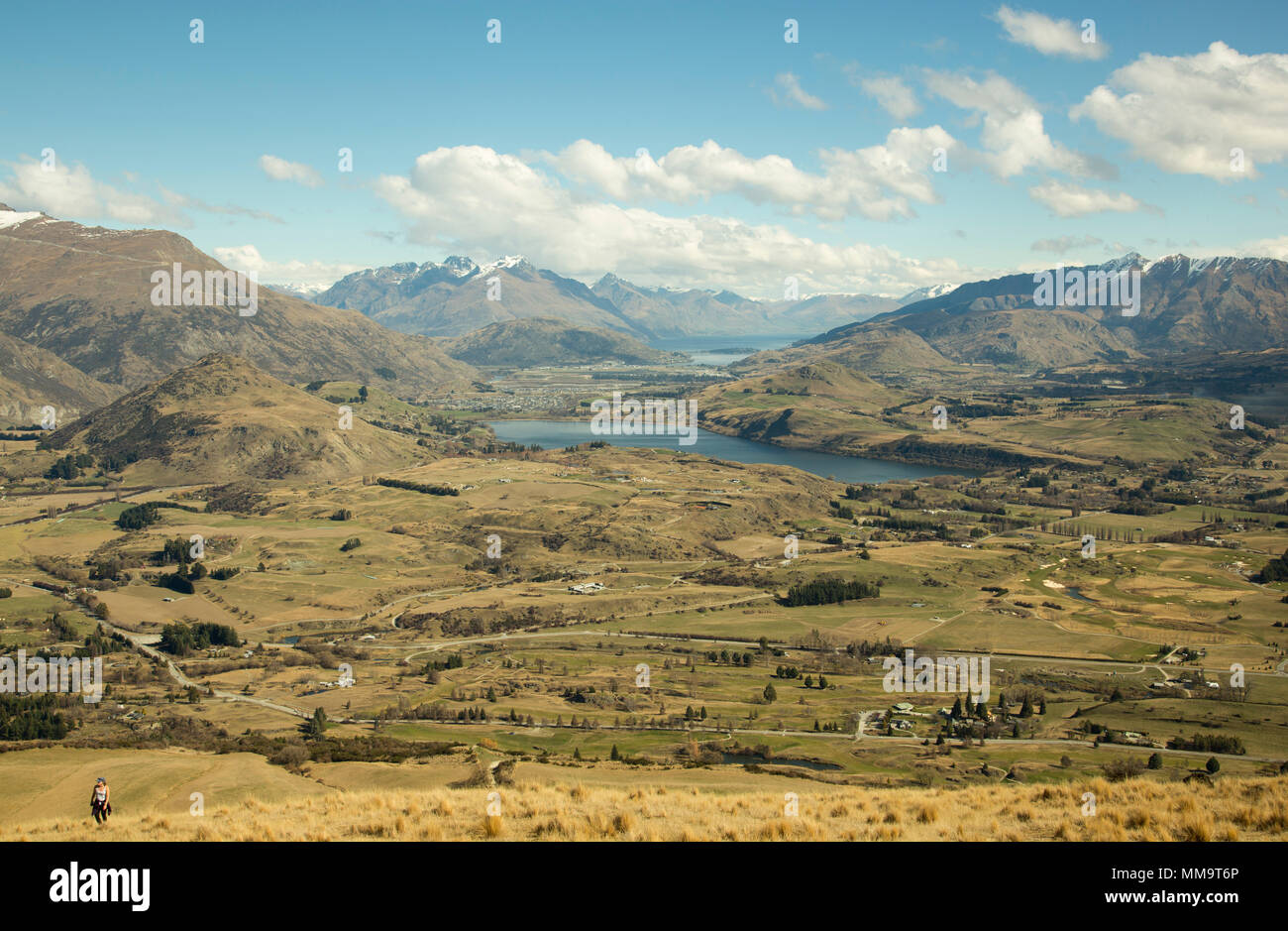 Tobins hi-res stock photography and images - Alamy