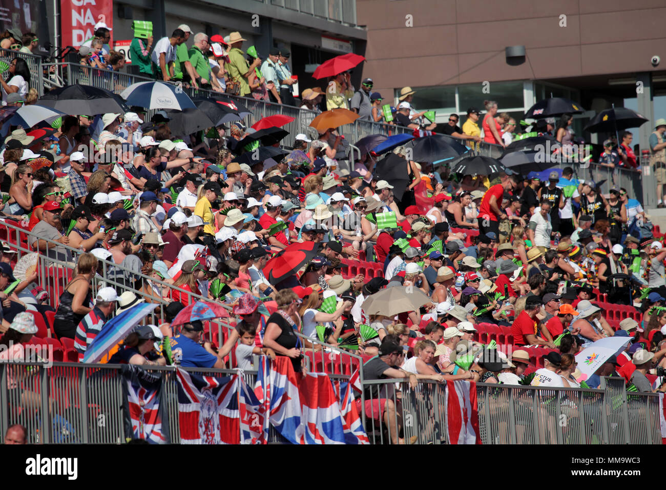 Lions rugby fans hi-res stock photography and images - Alamy