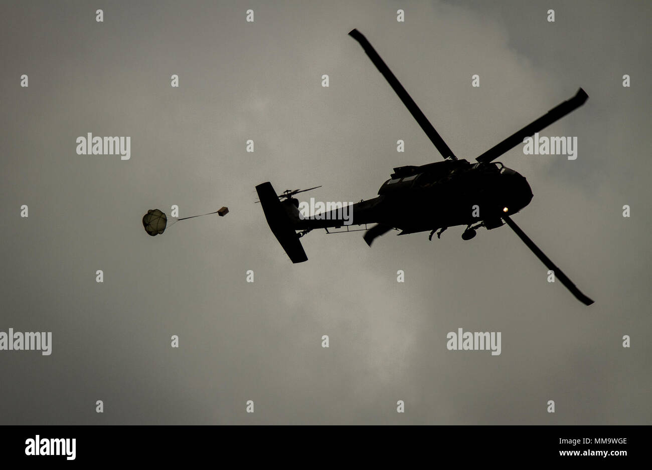 Virs hi-res stock photography and images - Alamy
