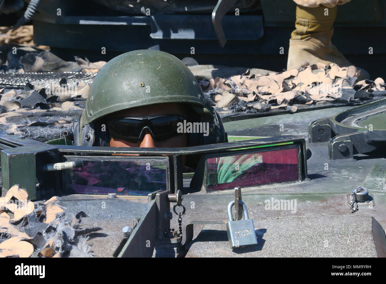 3rd light armored reconnaissance battalion wolfpack hi-res stock ...