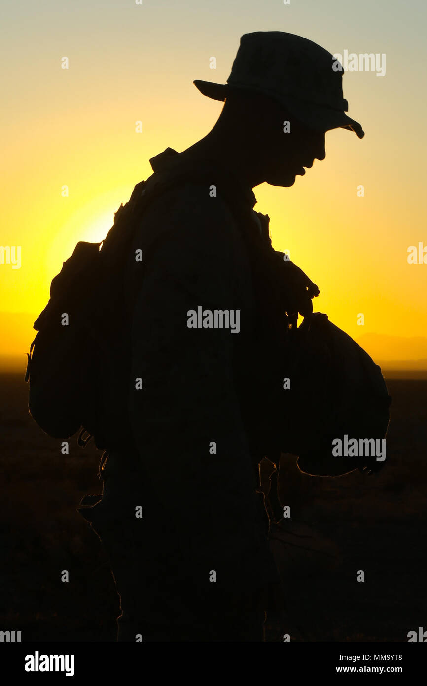 3rd light armored reconnaissance battalion wolfpack hi-res stock ...