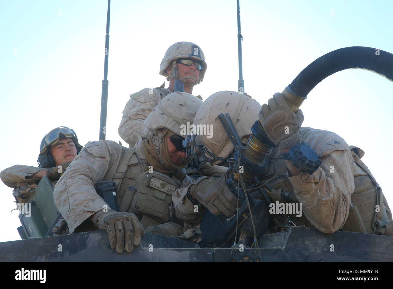 3rd light armored reconnaissance battalion wolfpack hi-res stock ...