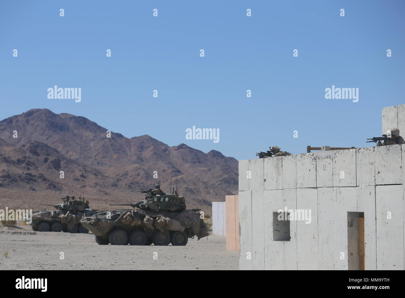 3rd light armored reconnaissance battalion wolfpack hi-res stock ...
