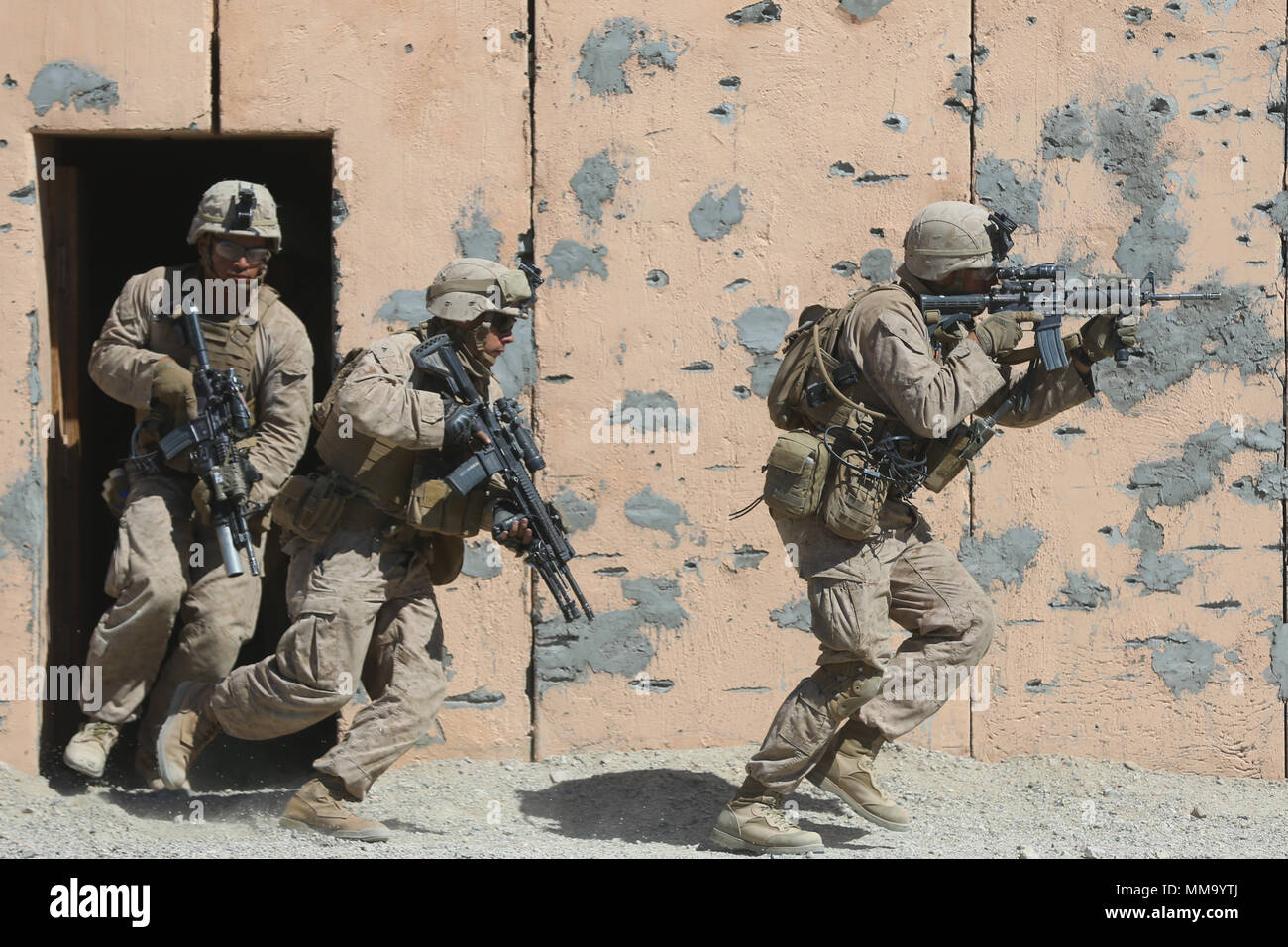 3rd light armored reconnaissance battalion wolfpack hi-res stock ...