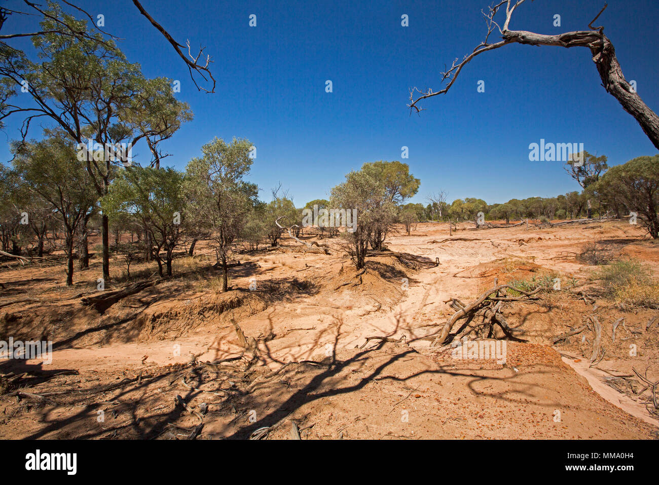 Severely eroded landscape with bare red soil cleared of trees and ...
