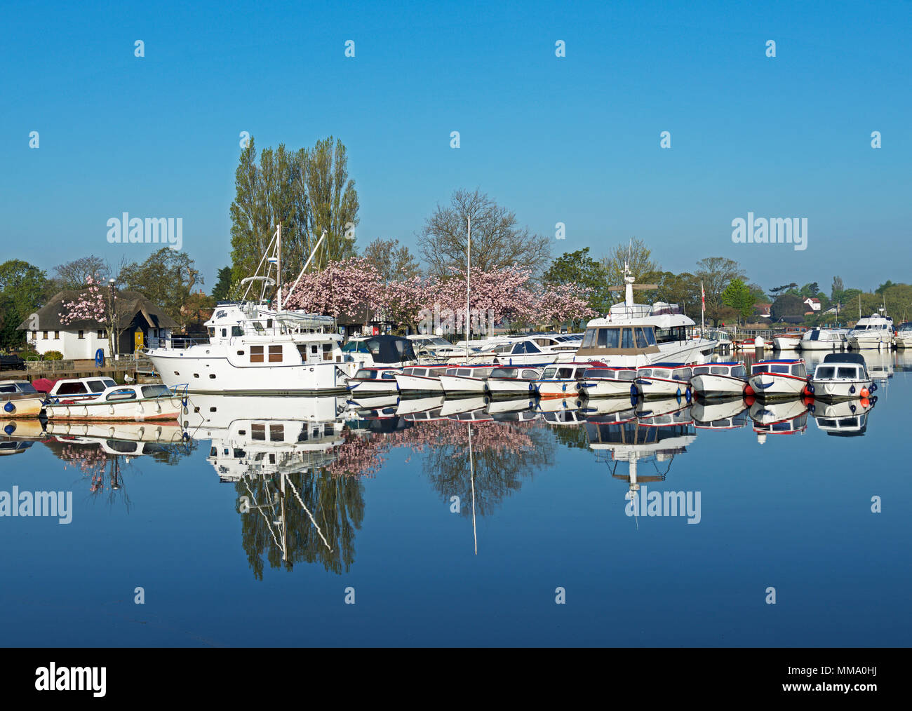 Boats moored at Oulton Broad, Norfolk, England UK Stock Photo - Alamy