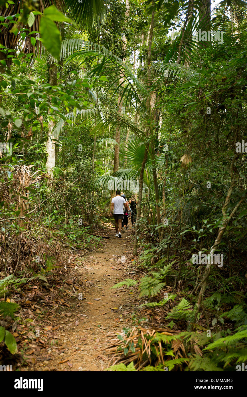 Rainforest people hi-res stock photography and images - Alamy