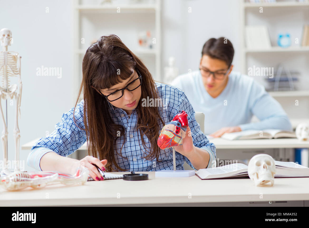 Two medical students studying in classroom Stock Photo - Alamy
