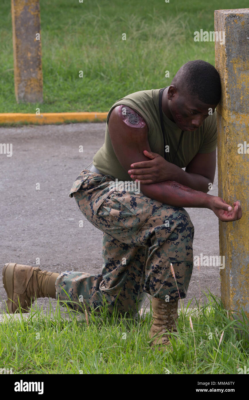 MCAS FUTENMA, OKINAWA, Japan – Cpl. Quintero Strowbridge kneels beside ...