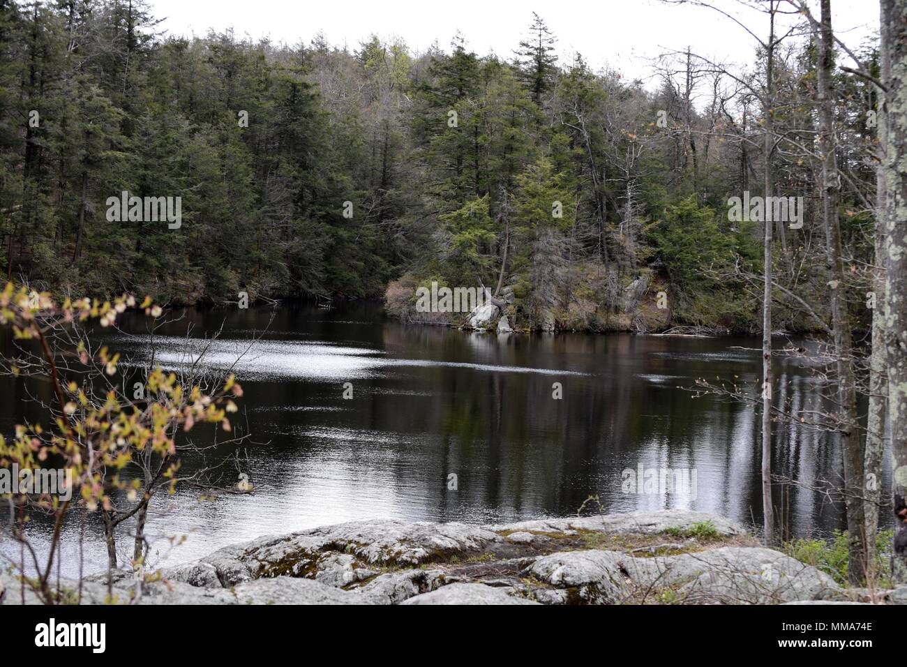 Upstate new york pond hi-res stock photography and images - Alamy