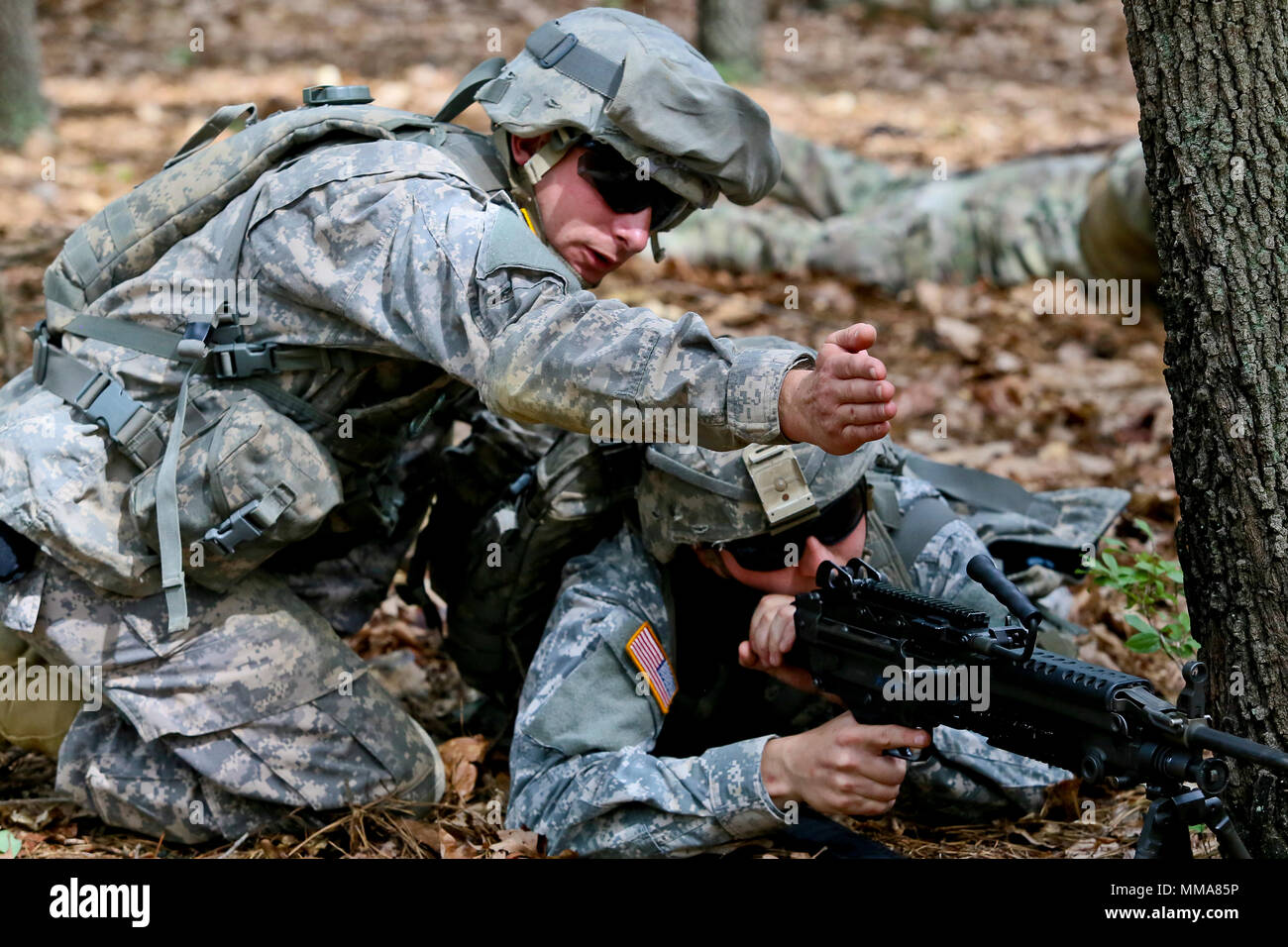 U.S. Army Soldiers set up defensive positions while on a field training ...