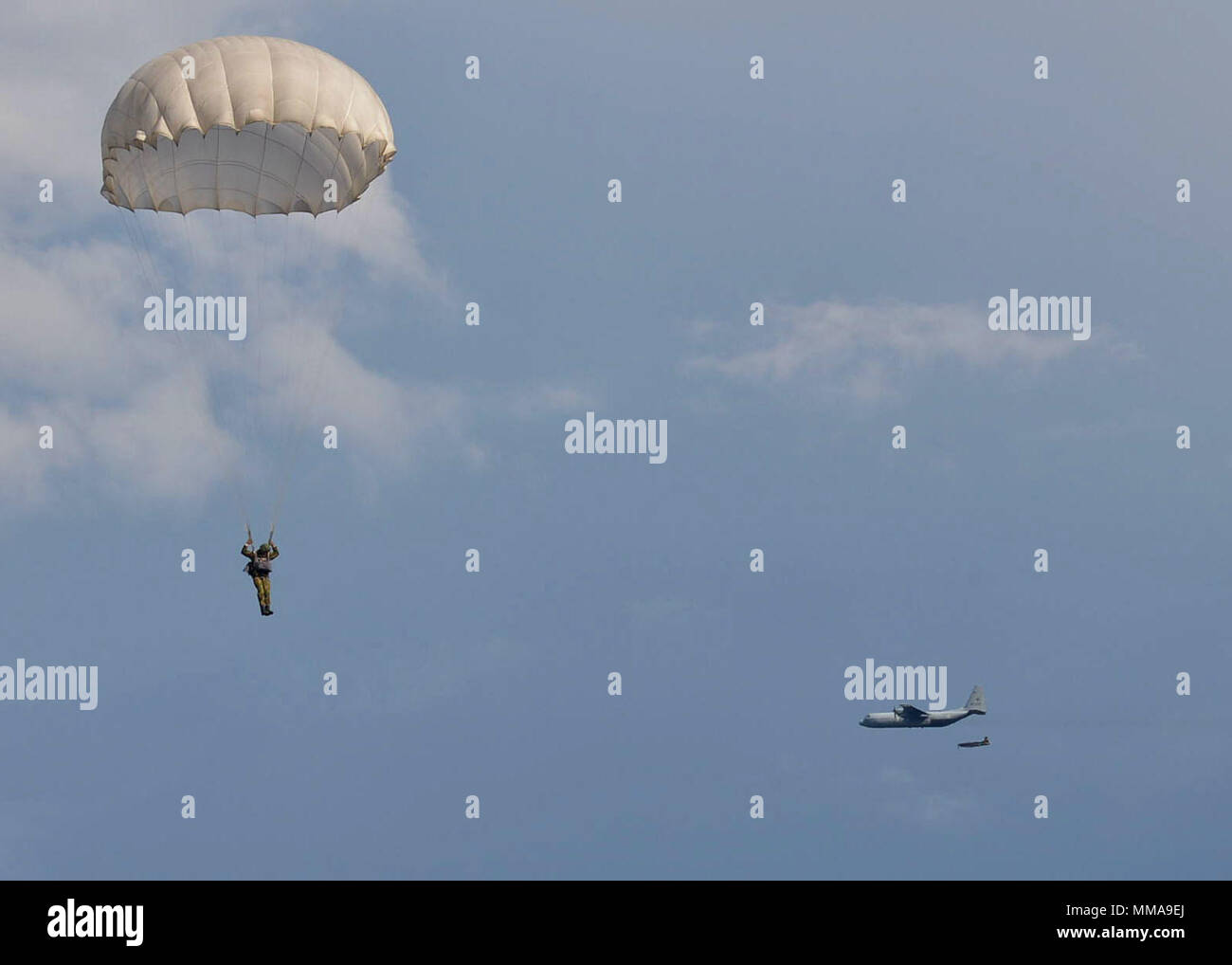 Parachute canopies fill the sky as paratroopers from eight countries ...