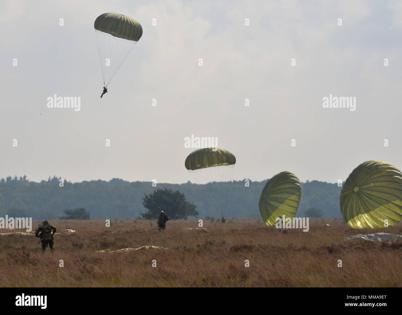 Parachute canopies fill the sky as paratroopers from eight countries ...