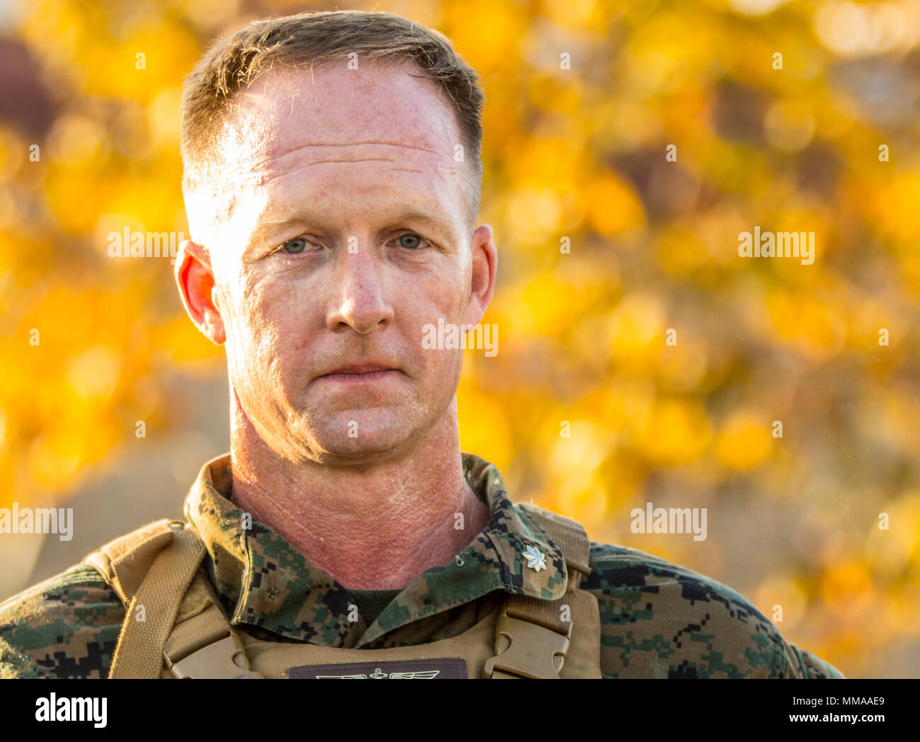 Propelling a brake hi-res stock photography and images - Alamy