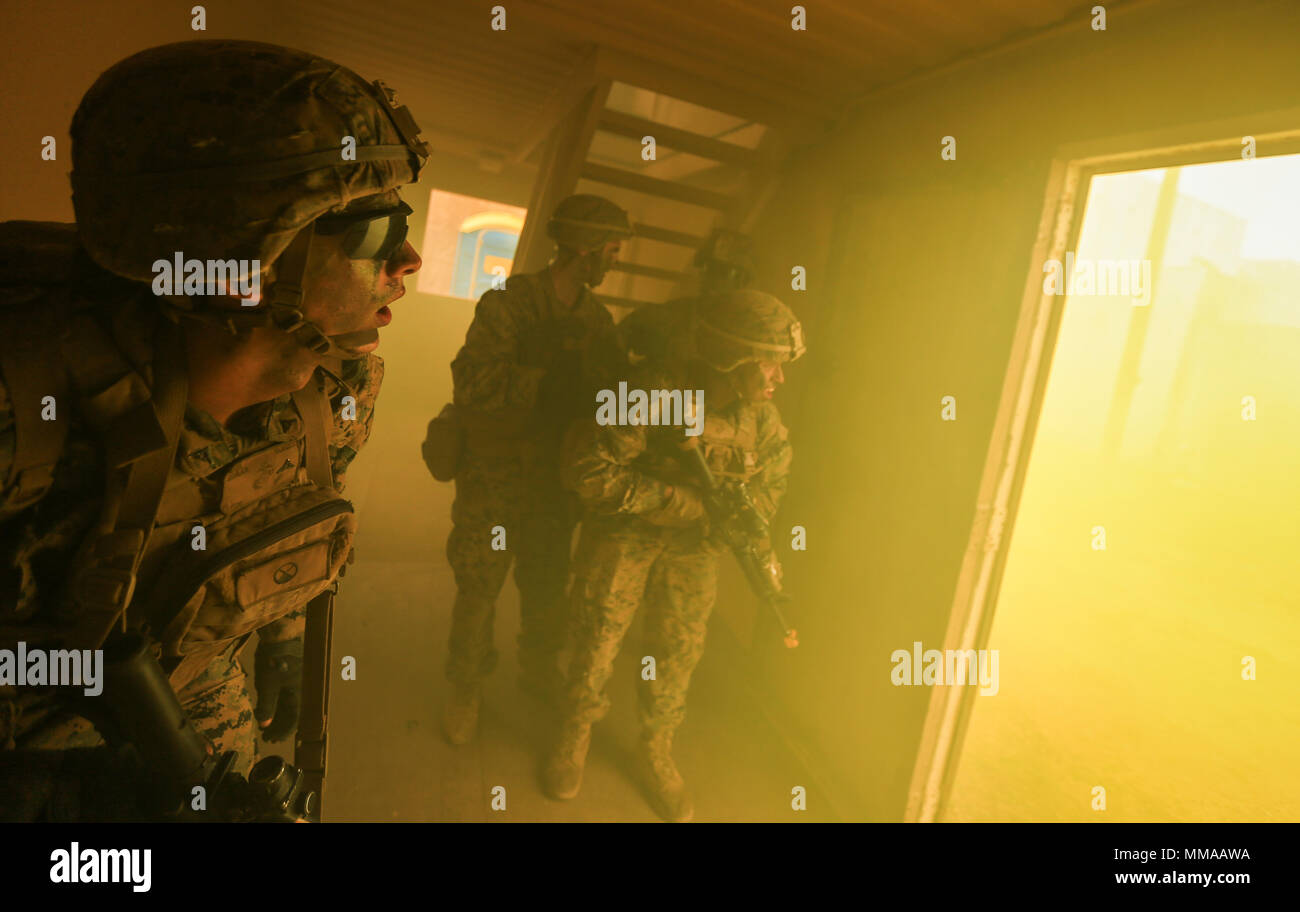 U.S. Marines with 2nd Battalion, 3rd Marines, look for enemy combatants ...