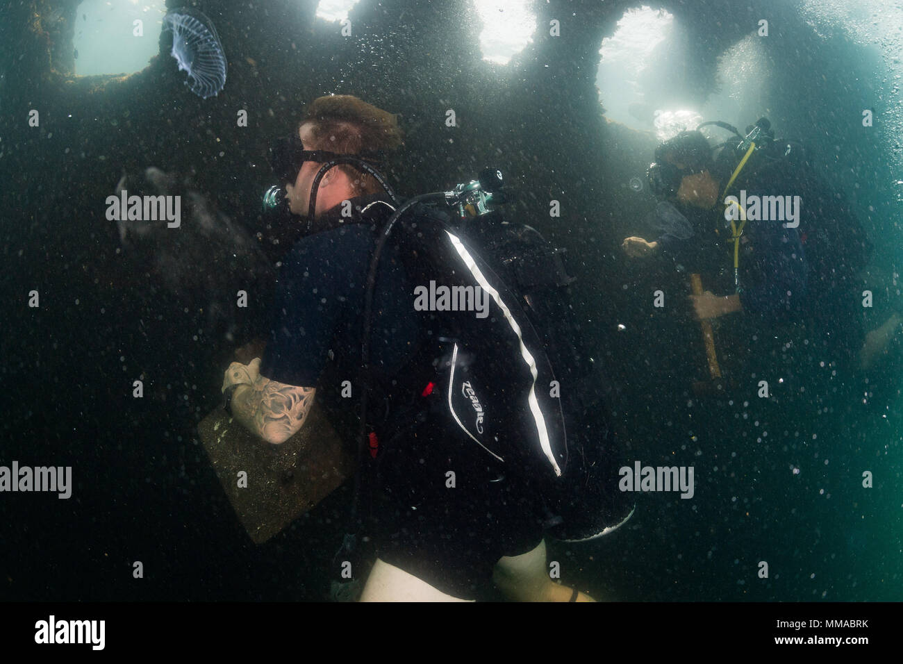 (TRINCOMALEE, Sri Lanka) U.S. Navy Diver 2nd Class Alec Stuller ...