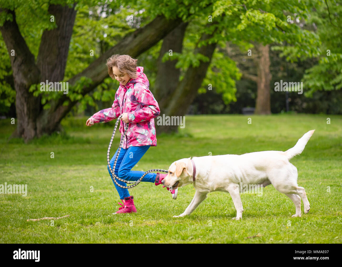 Girl with labrador retriever dog Stock Photo - Alamy