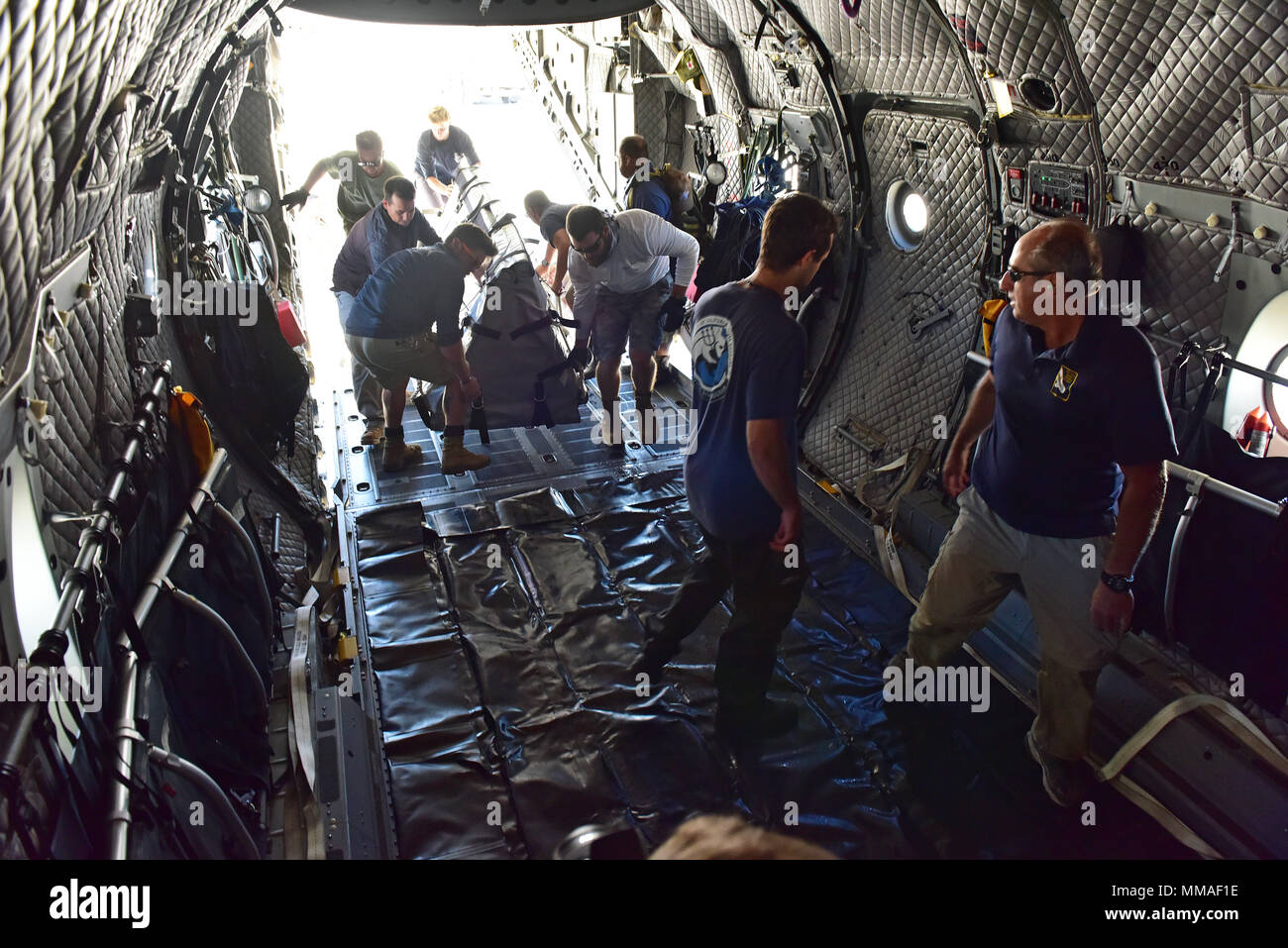 Members of the U.S. Navy Marine Mammal Program load bottlenose dolphins ...