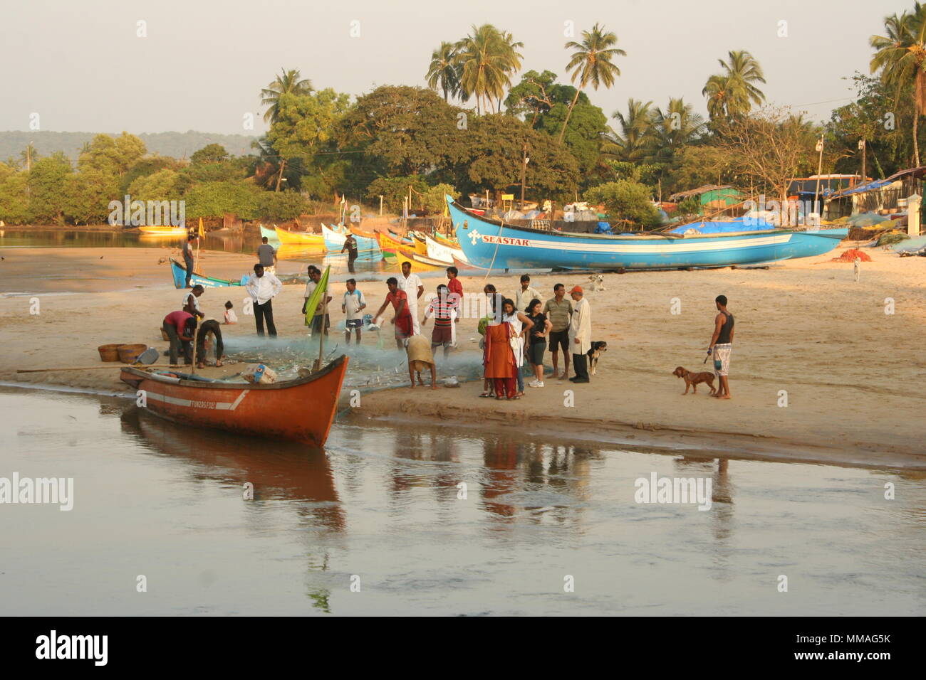 Goan fish hi-res stock photography and images - Alamy