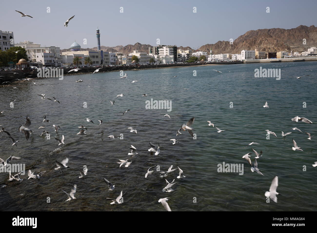 Port Sultan Qaboos - Al Lawati Mosque - Muscat - Sultanate of Oman ...