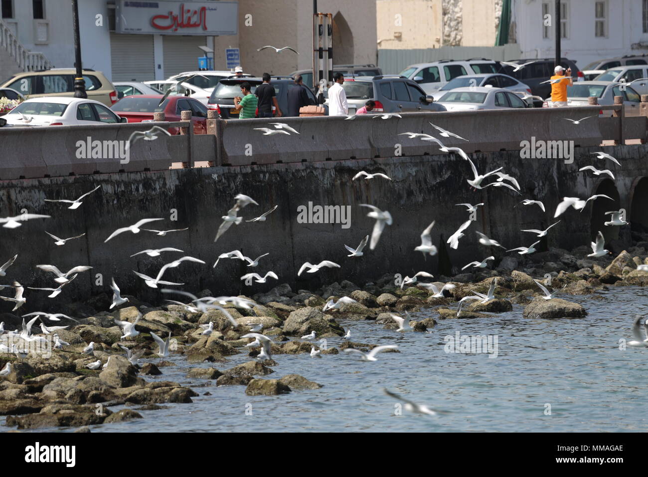 Al Lawati Mosque - Muscat - Sultanate of Oman Stock Photo - Alamy