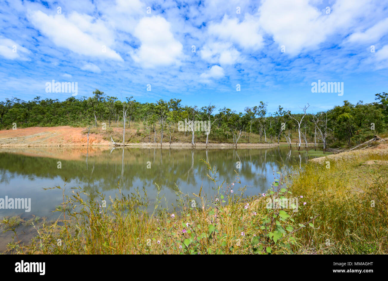 Picturesque lagoon at Palmer River Goldfield, near Maytown, Far North ...