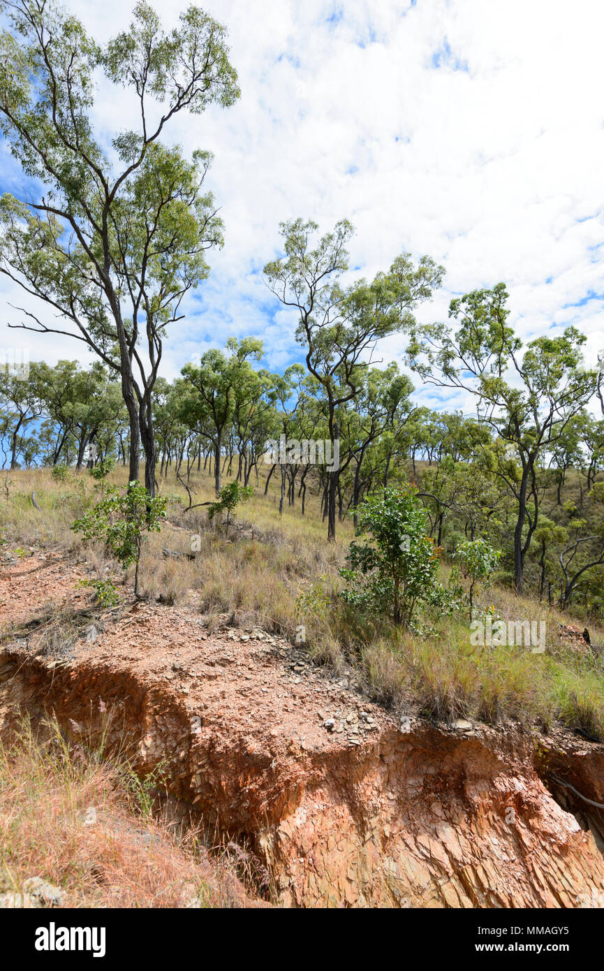 Palmer river goldfield hi-res stock photography and images - Alamy
