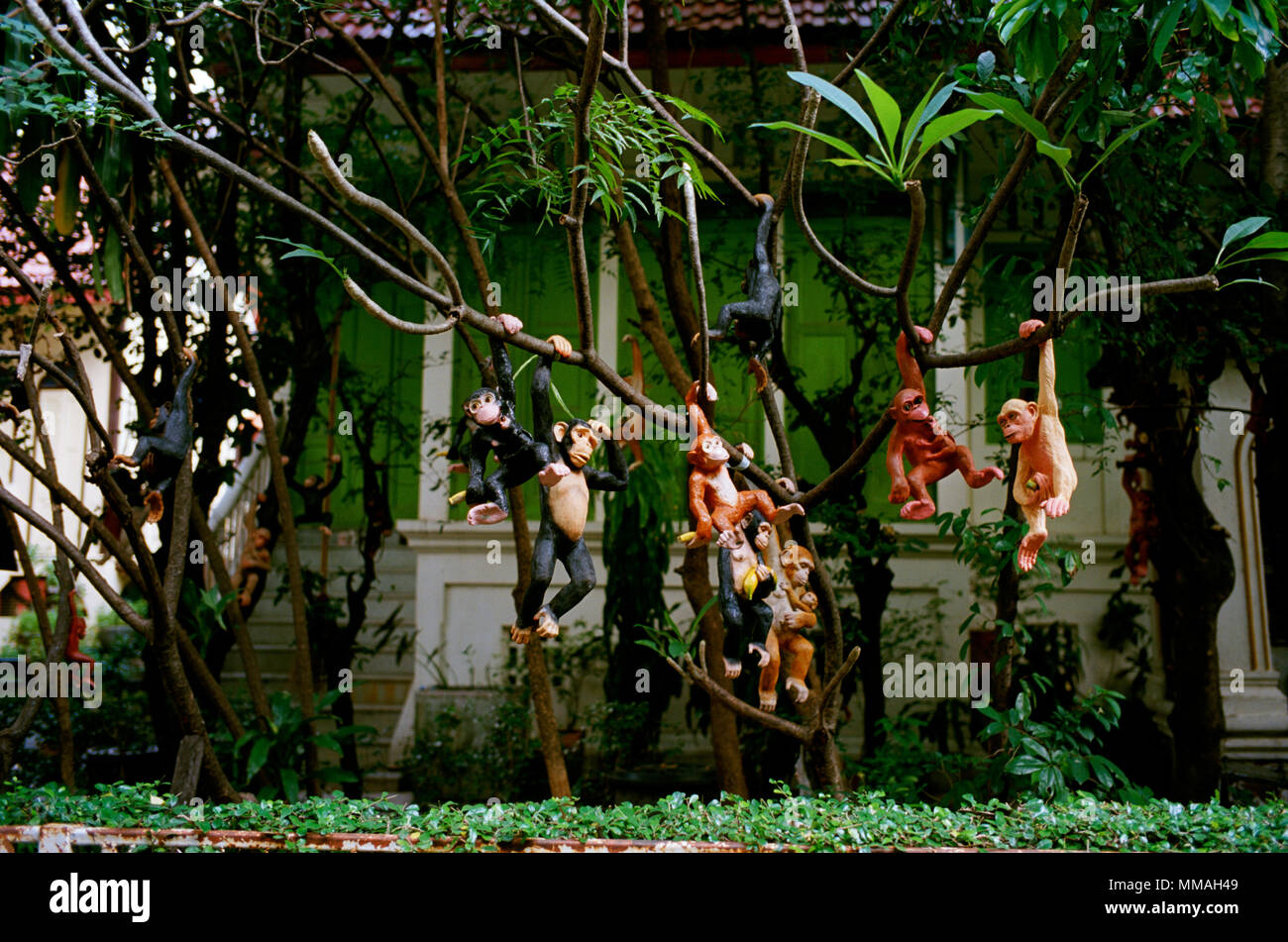 Monkey temple bangkok hi-res stock photography and images - Alamy
