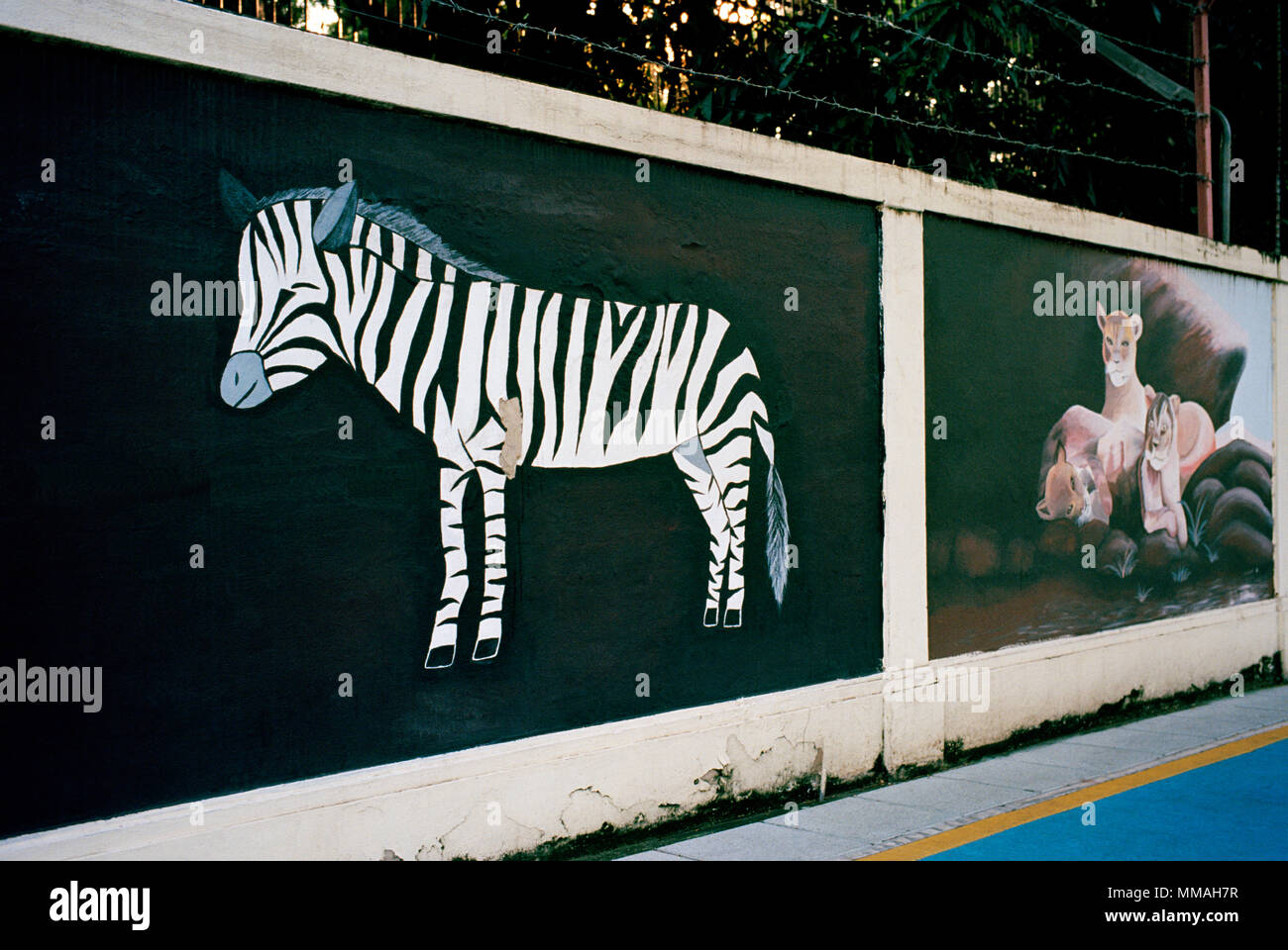Burchell's Zebra in Bangkok in Thailand in Southeast Asia Far East ...