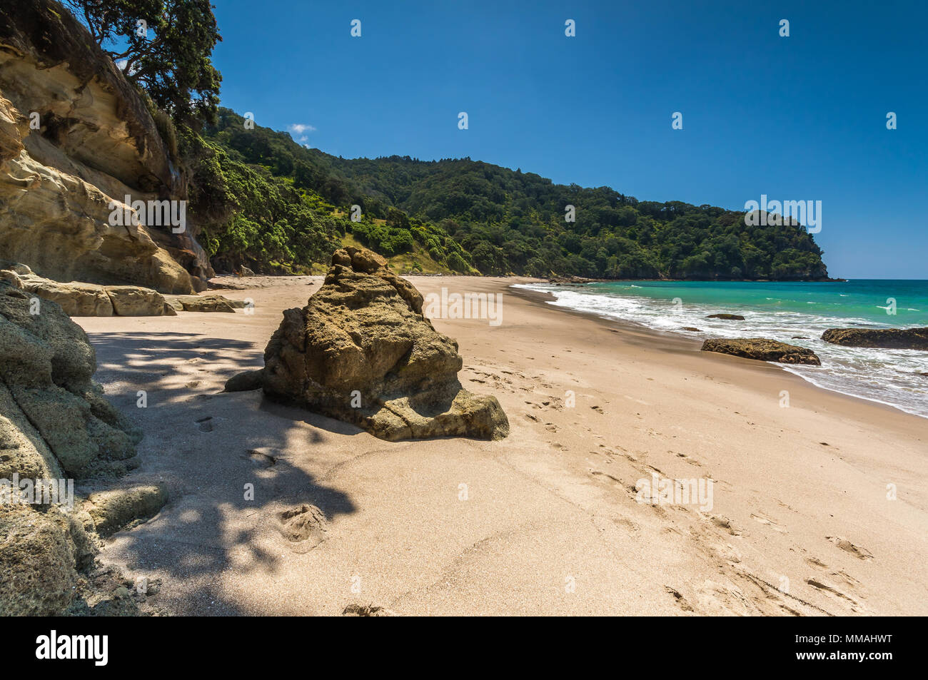Homunga Bay in the Coromandel, New Zealand Stock Photo - Alamy
