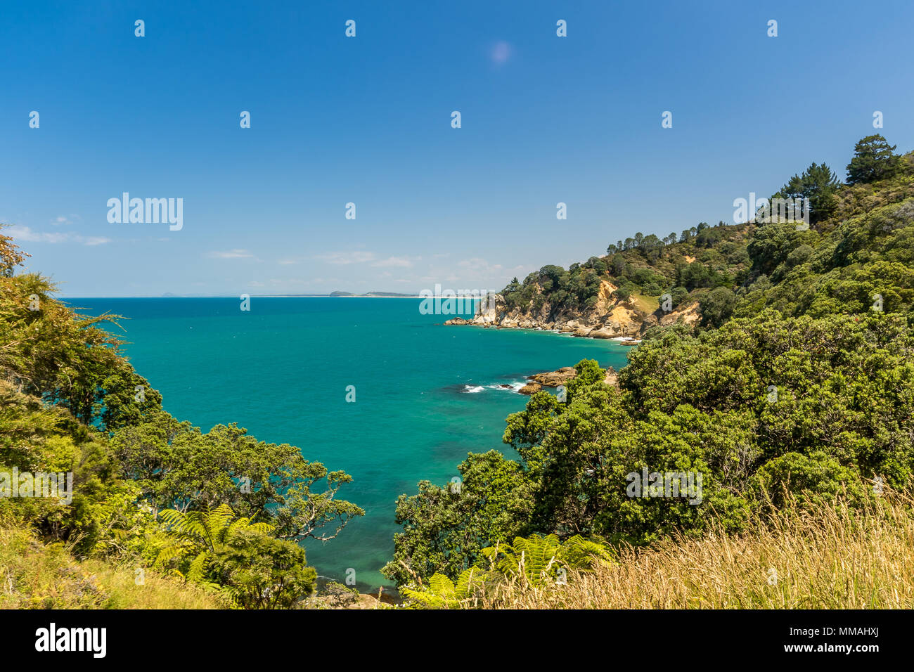 A look out view on one of the coastal trails in the Coromandel, New ...