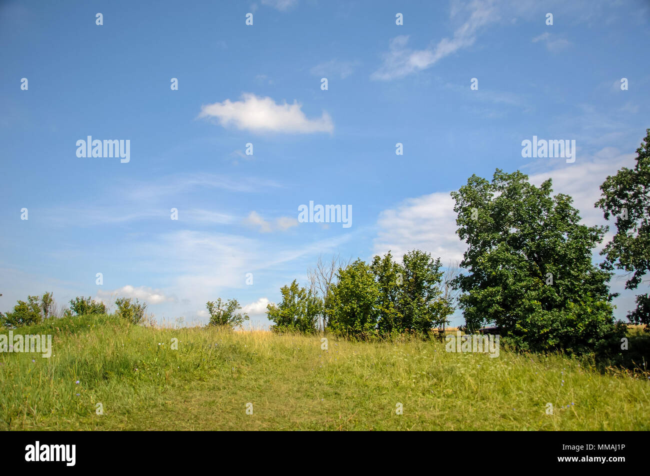Eco green sunny country landscape with trees and clouds Stock Photo - Alamy