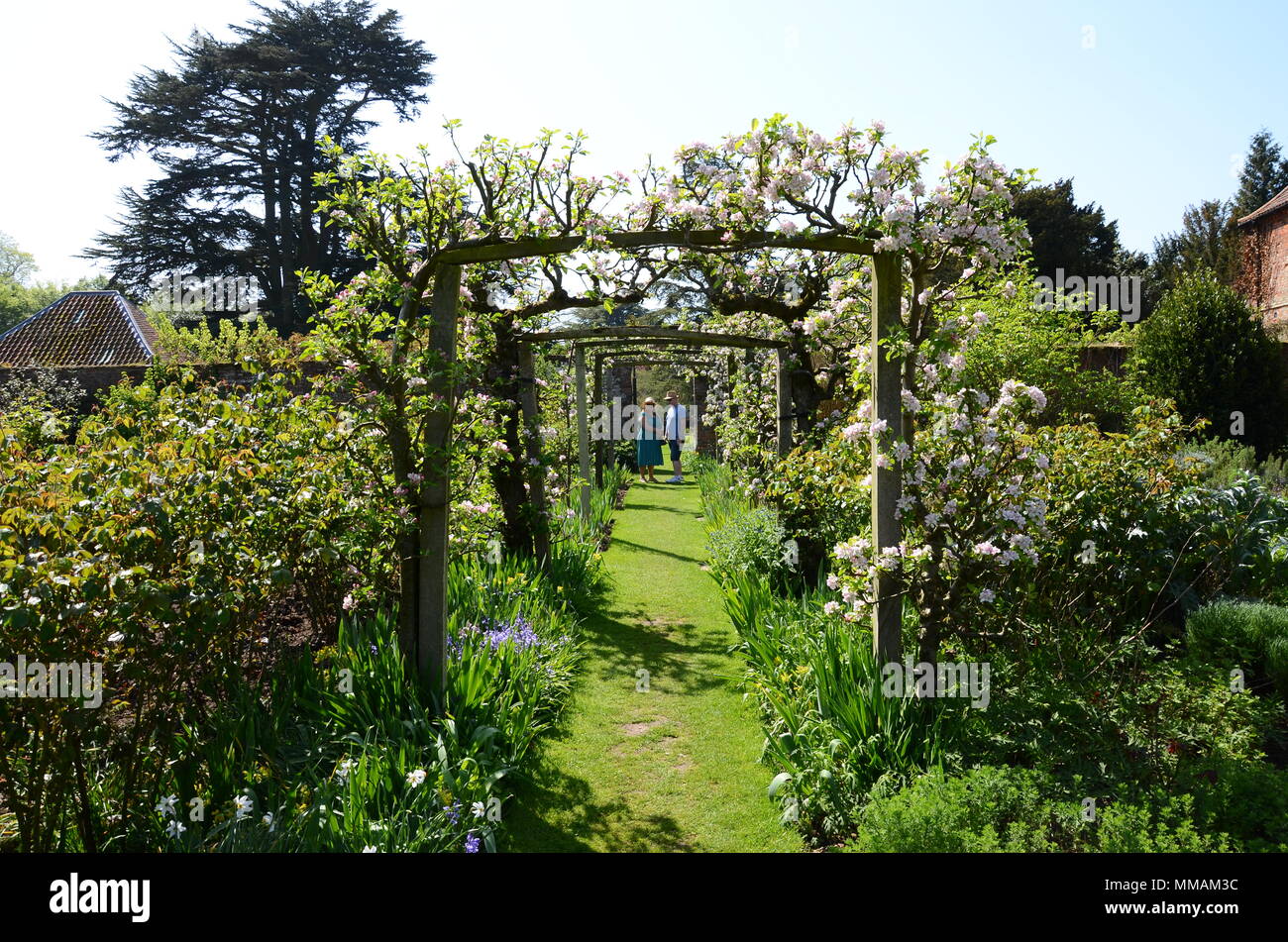 Visitors walk through pergola with apple trees in gardens of Gunby Hall ...