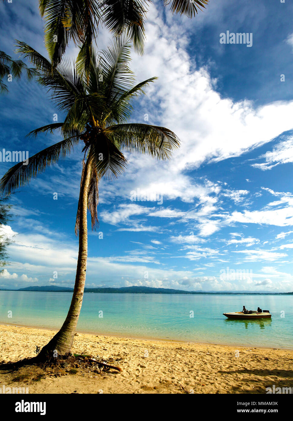Bokori hi-res stock photography and images - Alamy