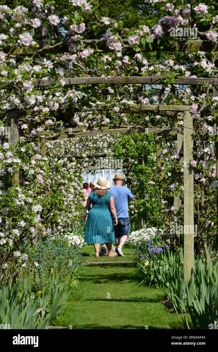 Visitors walk through pergola with apple trees in gardens of Gunby Hall ...