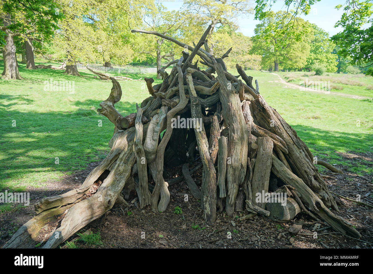 A children's den created from parts of dead trees in Richmond Park ...
