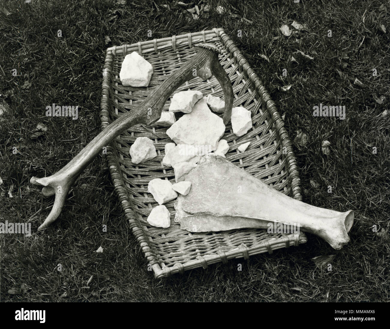Neolithic tools hi-res stock photography and images - Alamy