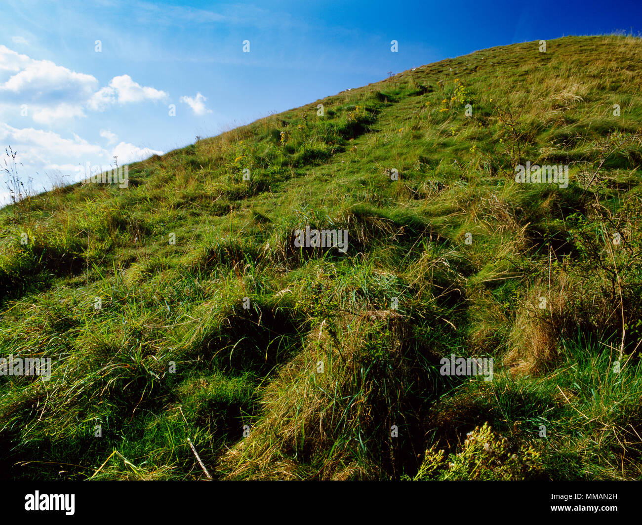 Neolithic arrowheads hi-res stock photography and images - Alamy