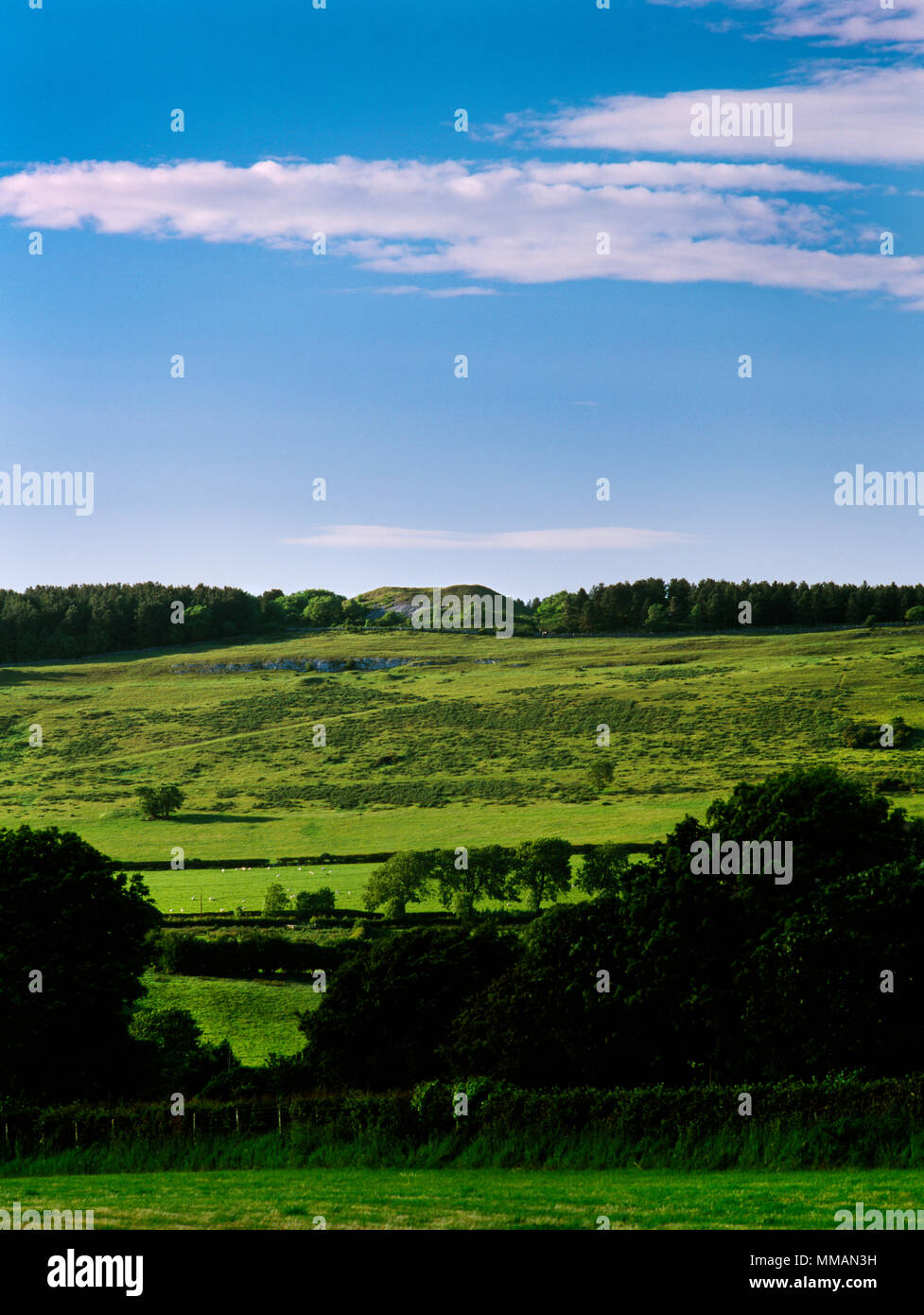 Neolithic arrowheads hi-res stock photography and images - Alamy