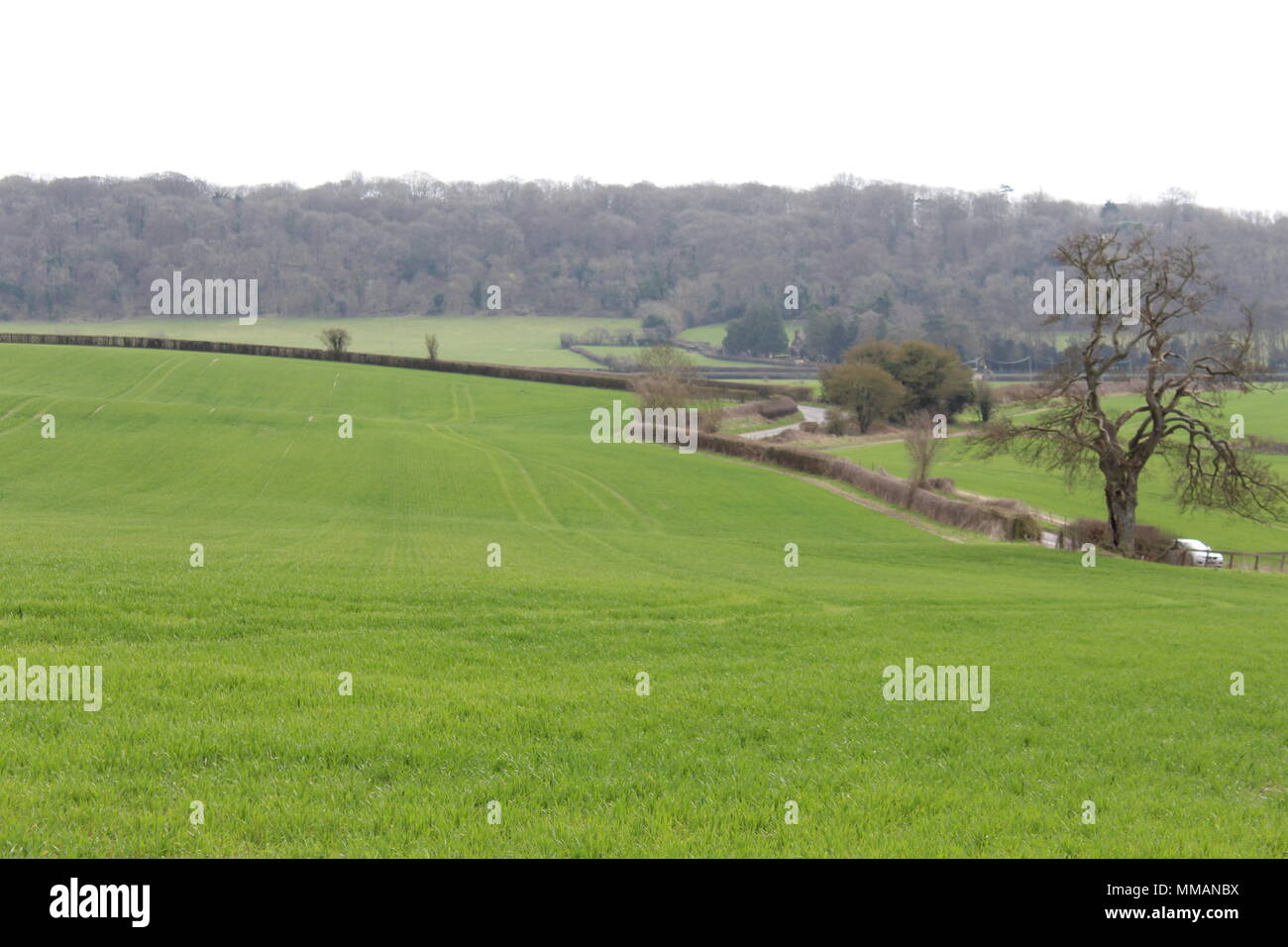 Tring hills hi-res stock photography and images - Alamy