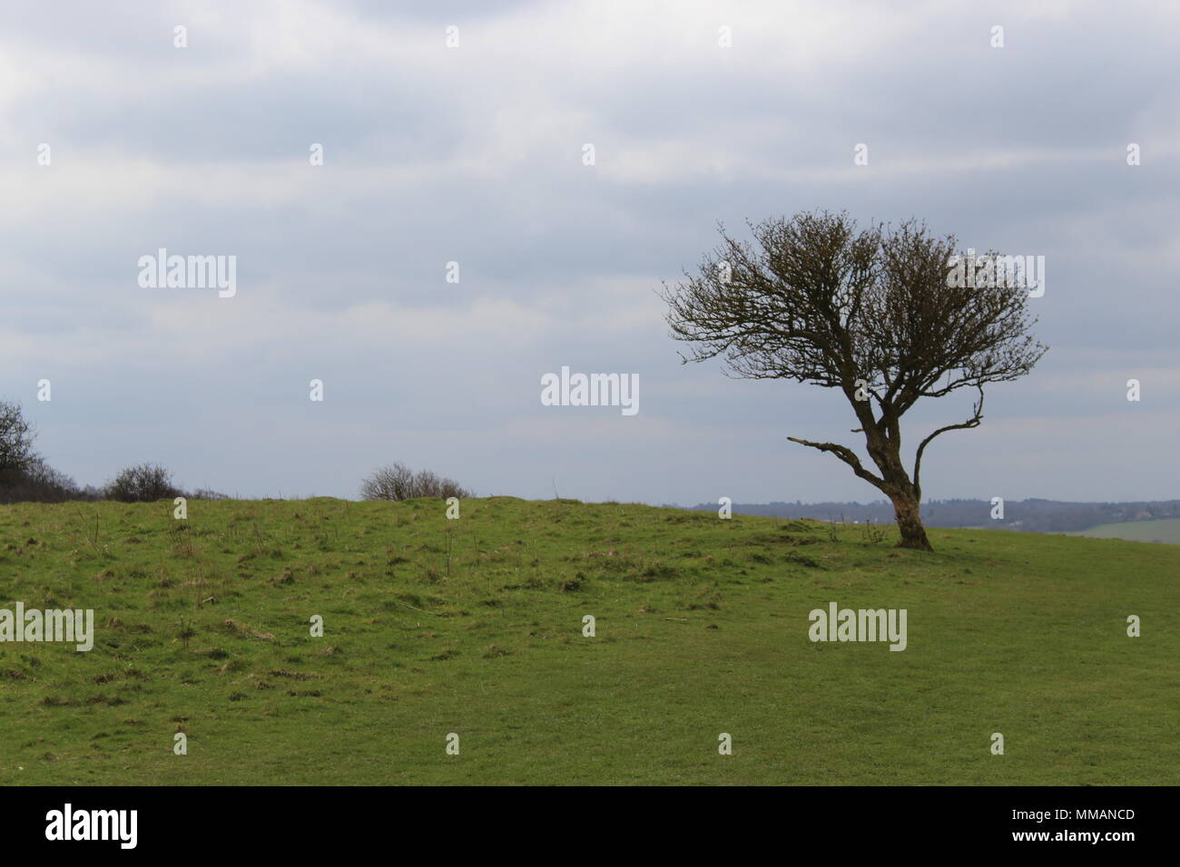 Tring hills hi-res stock photography and images - Alamy