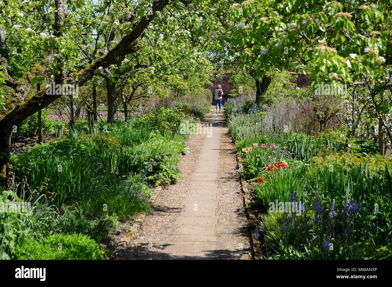 Visitors touring the gardens at Gunby Hall in Spring, Lincolnshire, UK ...