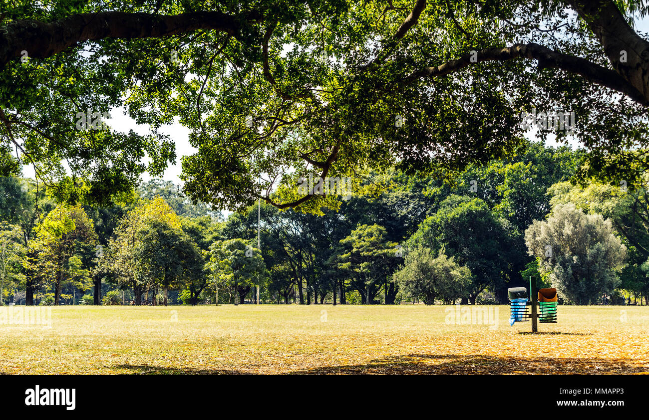 Field and trees landscape framing the image, with a garbage bin in ...