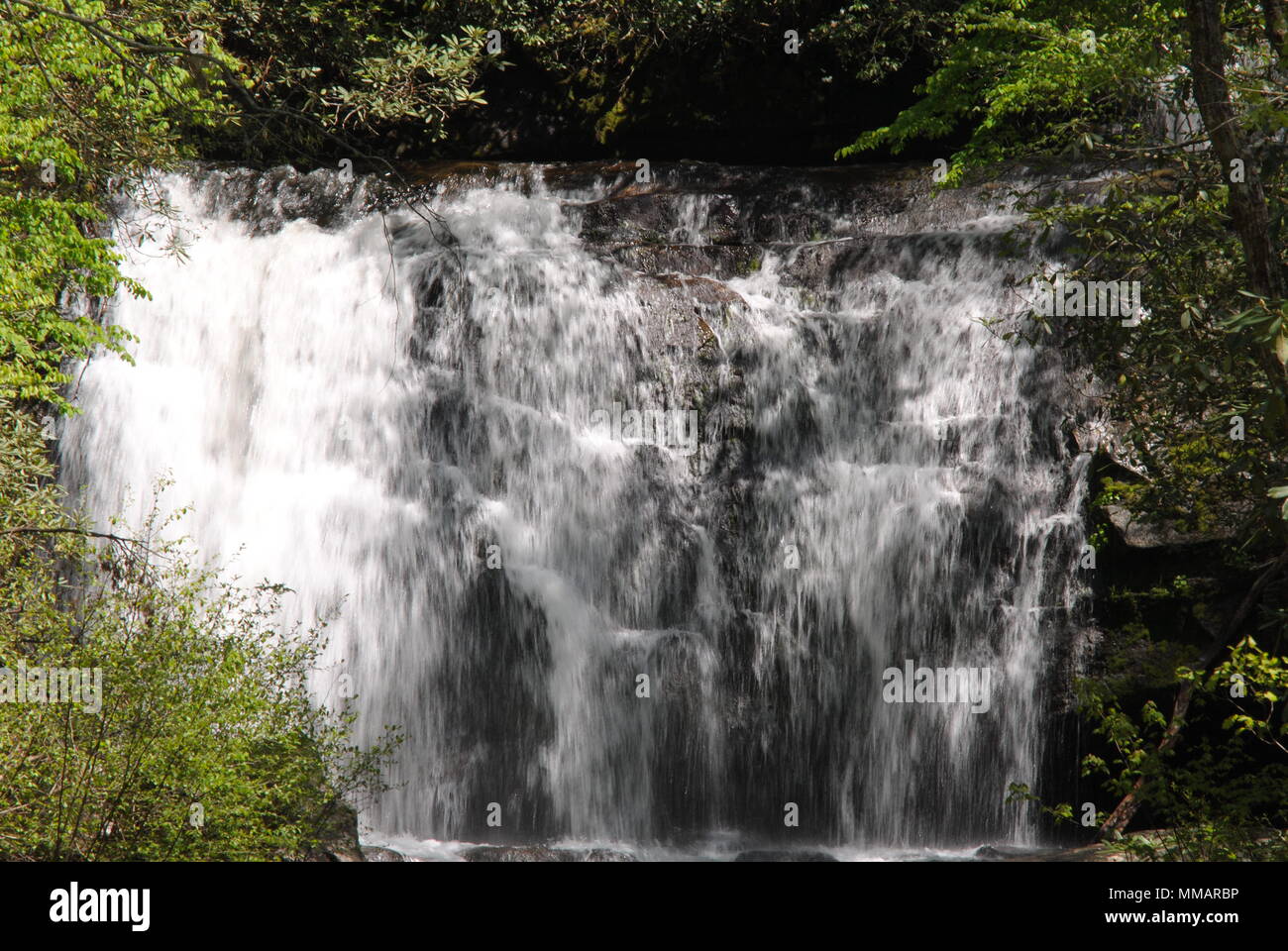 Waterfall forest rocks hi-res stock photography and images - Alamy