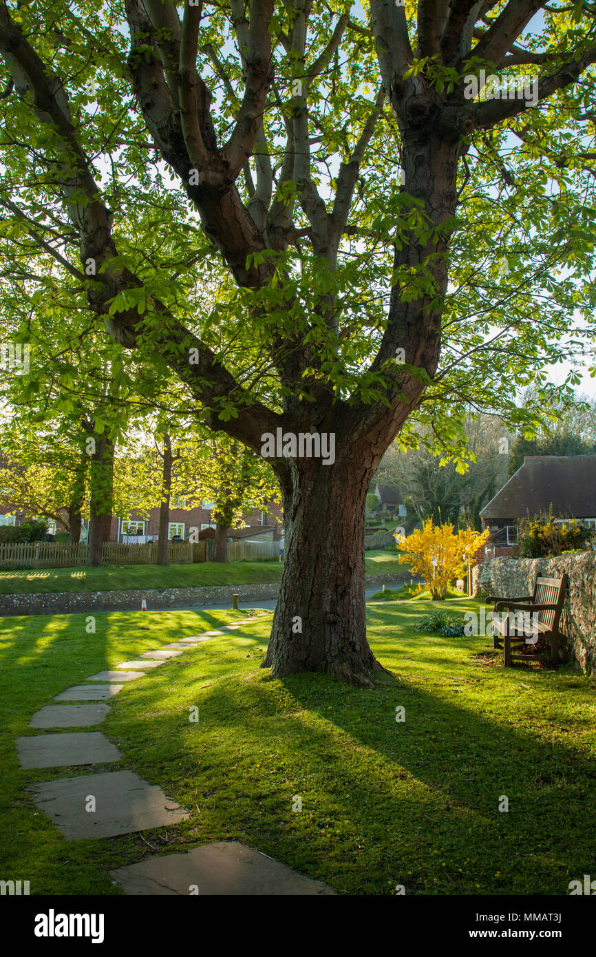 East Dean village, East Sussex, England Stock Photo - Alamy