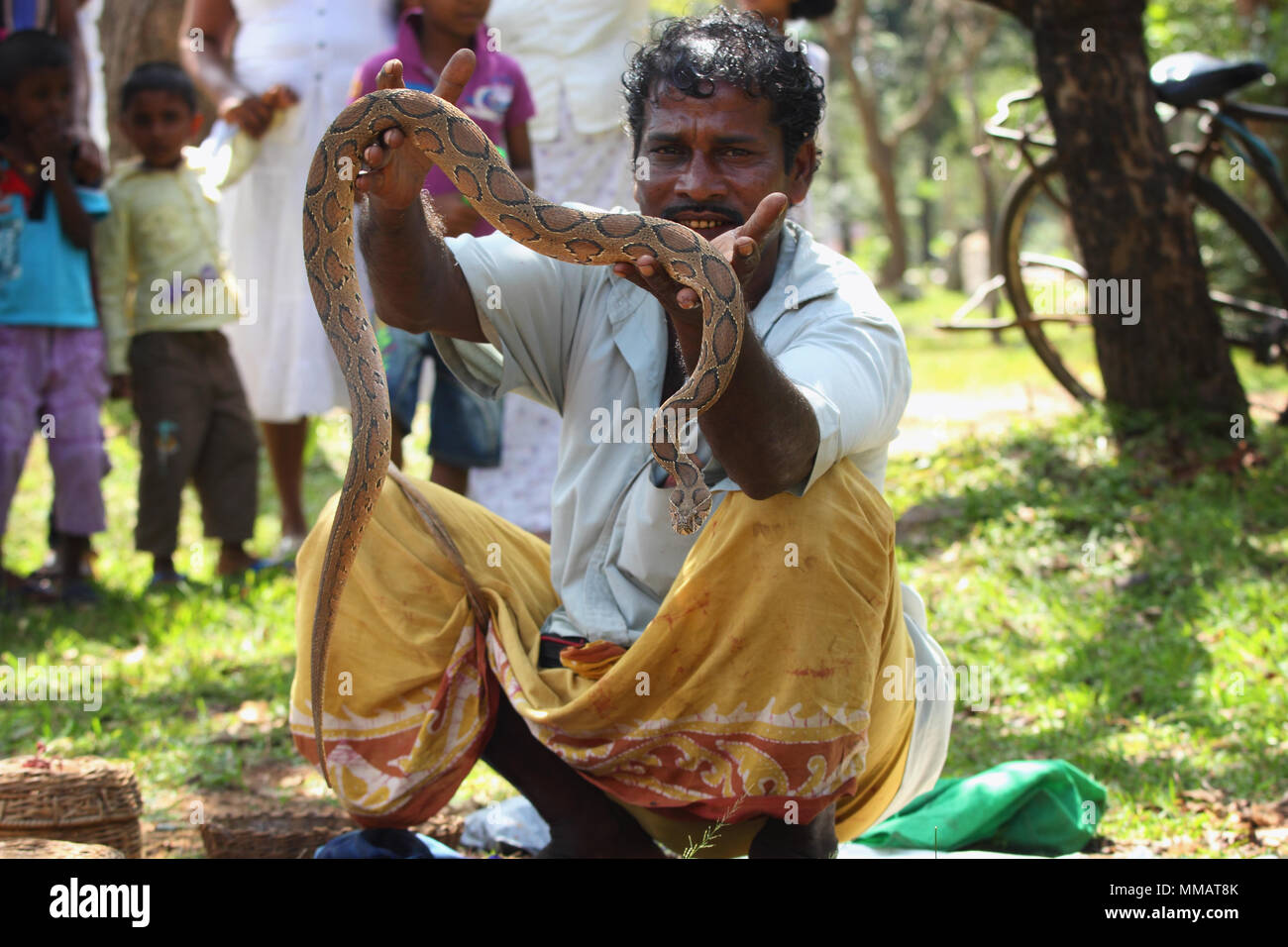 Sro Lankan man holding a snake in the hands Stock Photo - Alamy